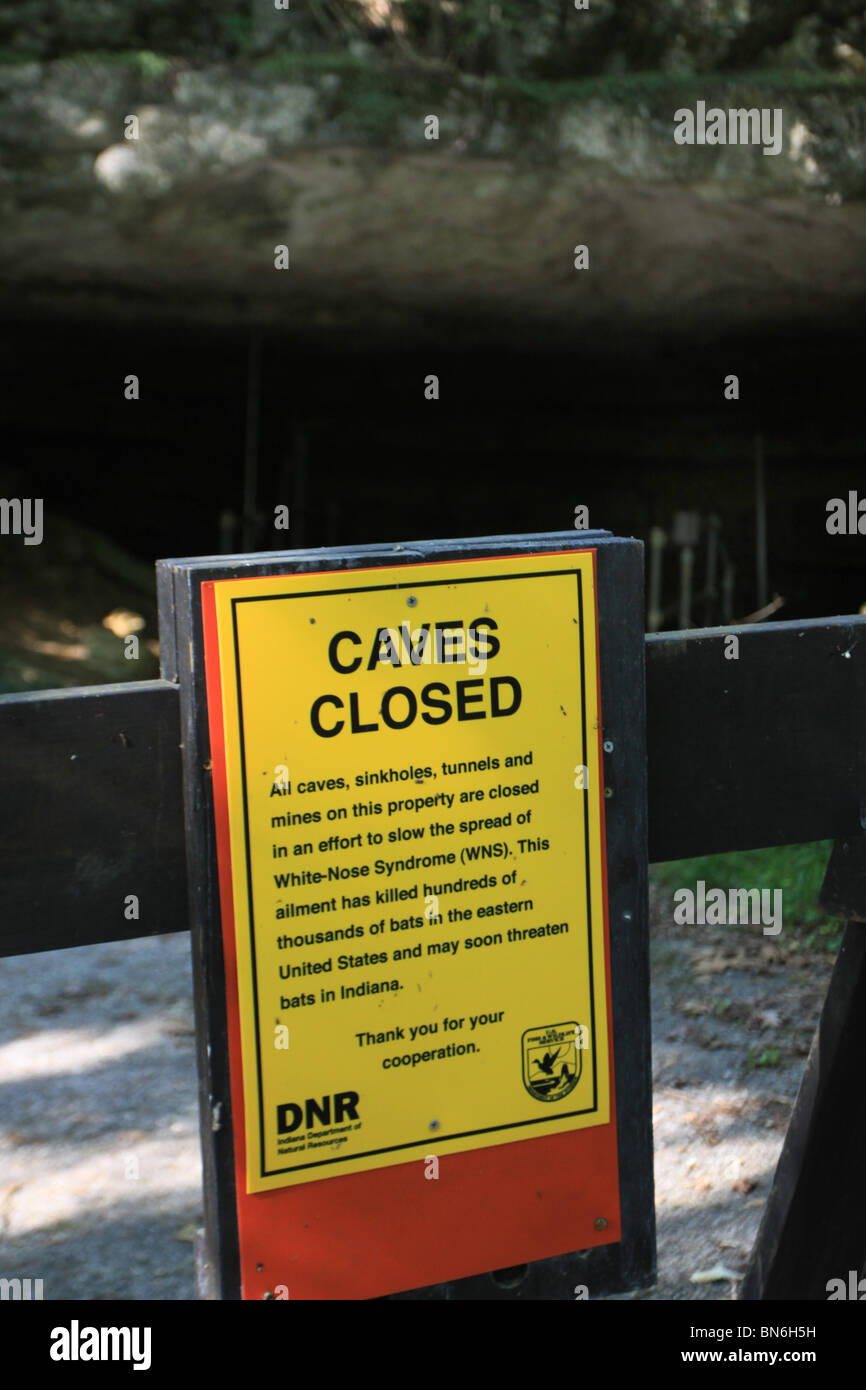Wyandotte Caves closed sign to protect bats from white nose syndrome ...