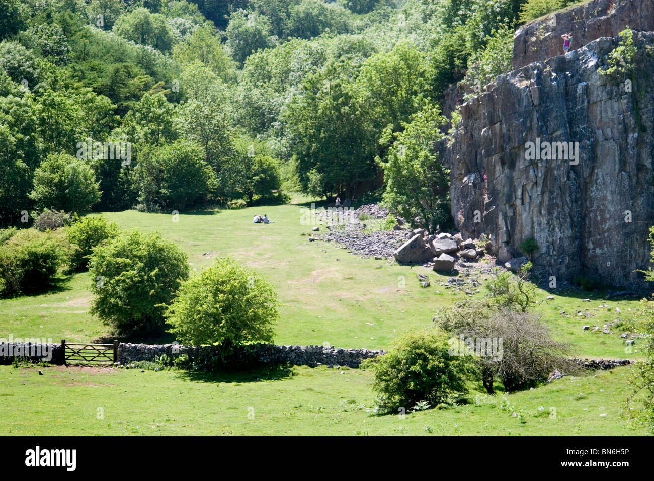 Cheddar somerset uk hi-res stock photography and images - Alamy