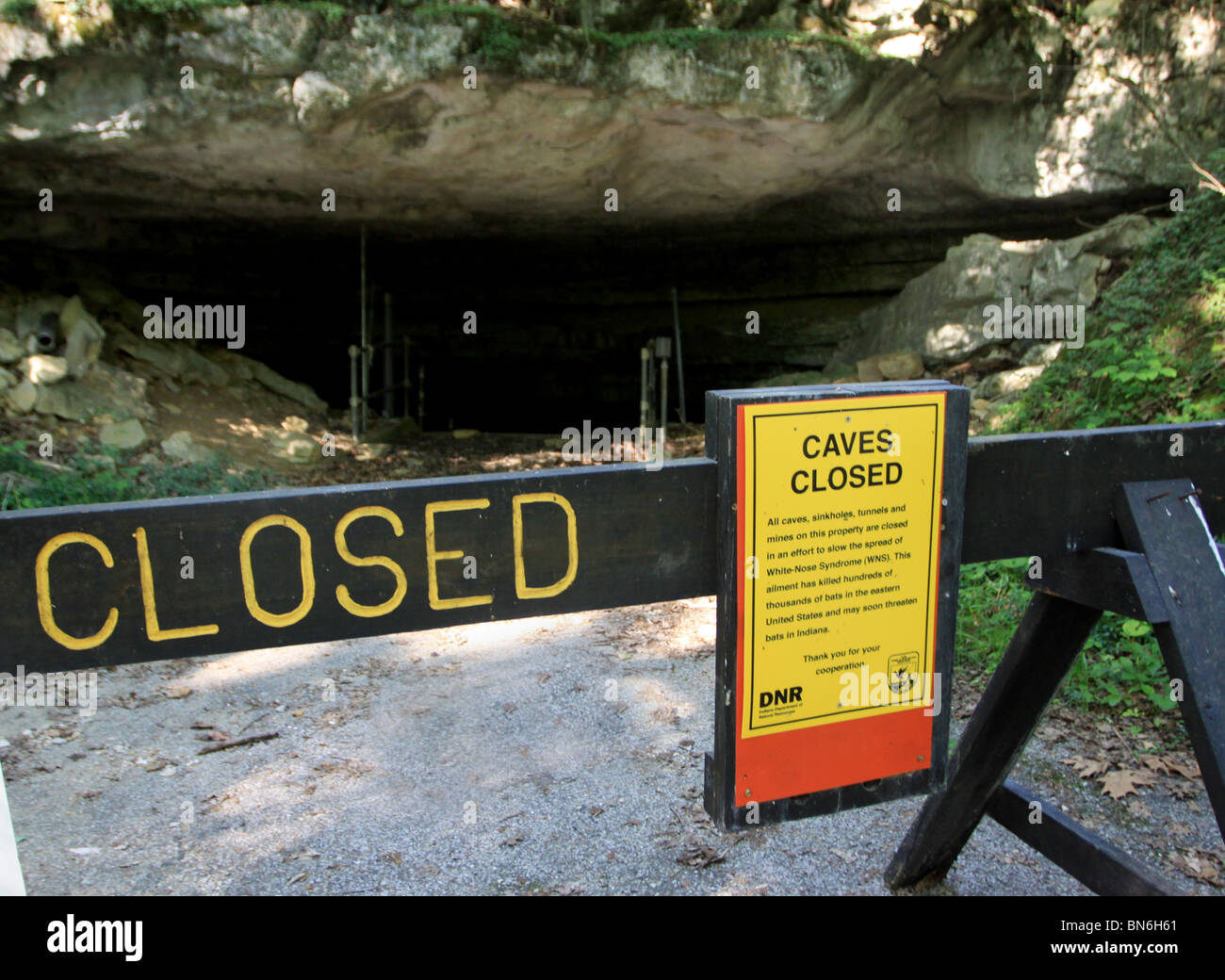 Wyandotte Caves closed sign to protect bats from white nose syndrome ...