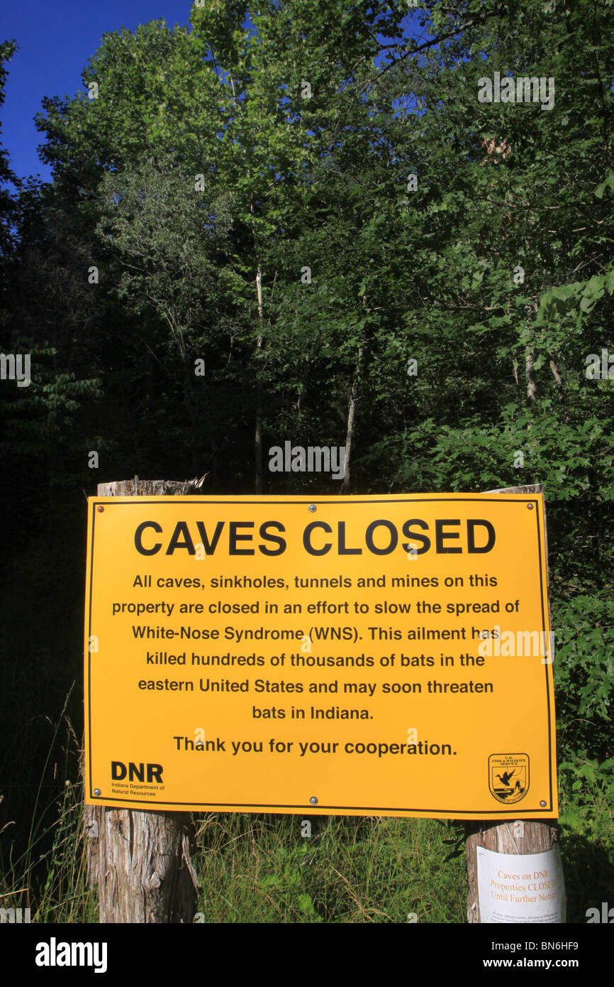 Wyandotte Caves closed sign to protect bats from white nose syndrome ...