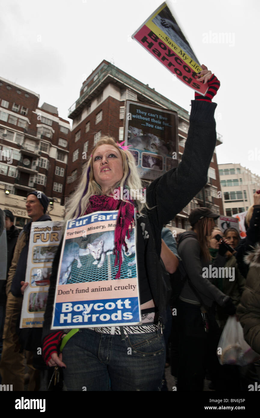 Woman with 'Boycott Harrods' placard waves poster outside Harrods in ...