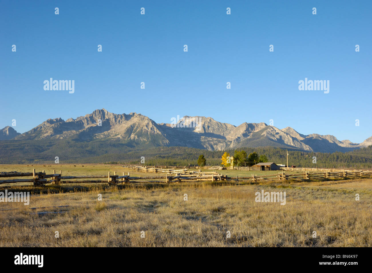Cattle ranch, Sawtooth Mountains, Rocky Mountains, Idaho, USA Stock ...