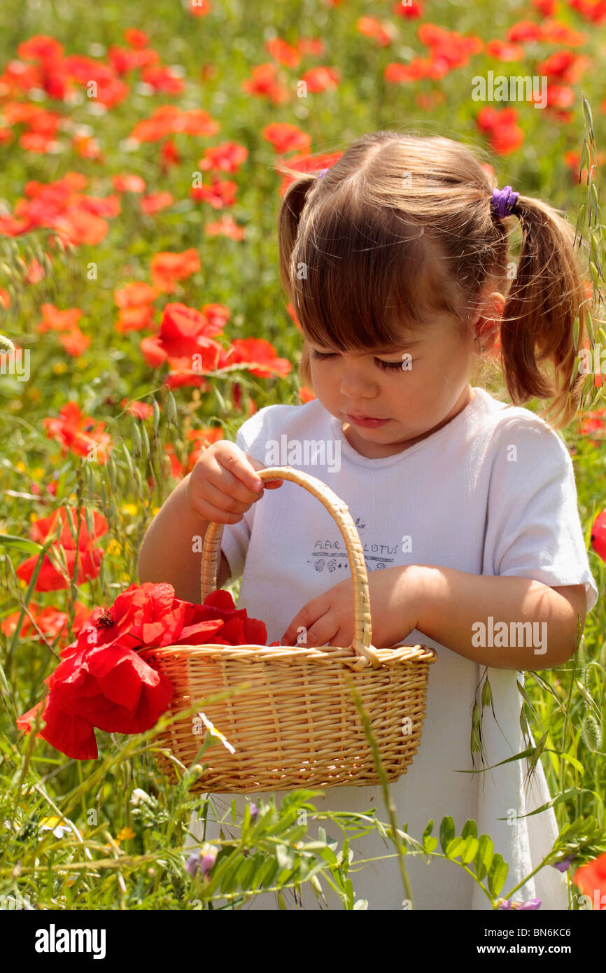 Little girl with poppies Stock Photo - Alamy
