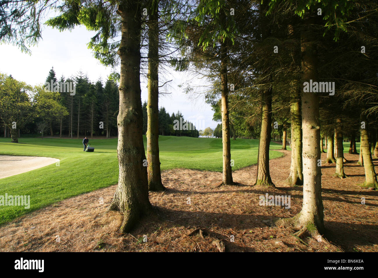 Loch Lomond Golf Course, Glasgow, Scotland. Hole 4 Trees on the side of ...