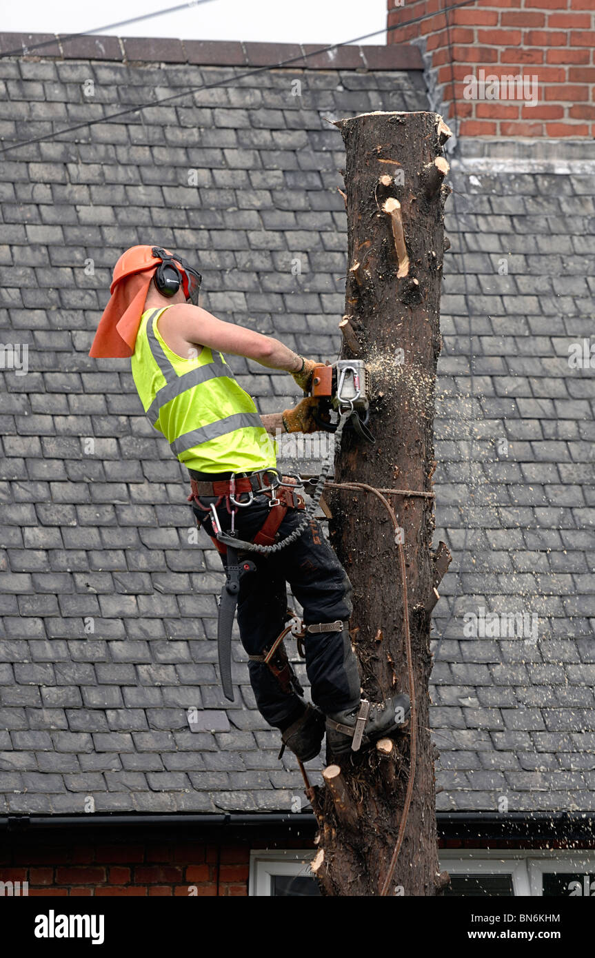 Urban felling hi-res stock photography and images - Alamy