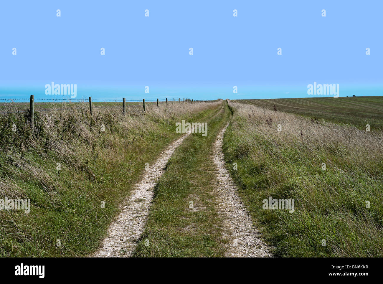 a farm road through countryside and farmland - ringstead bay dorset ...