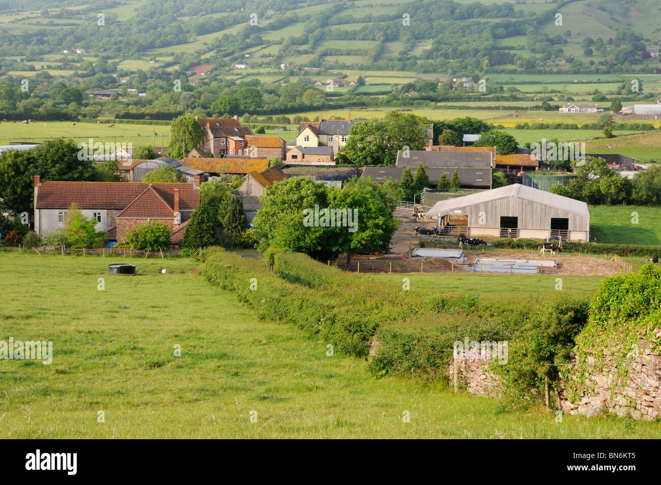 Court Farm High Resolution Stock Photography and Images - Alamy