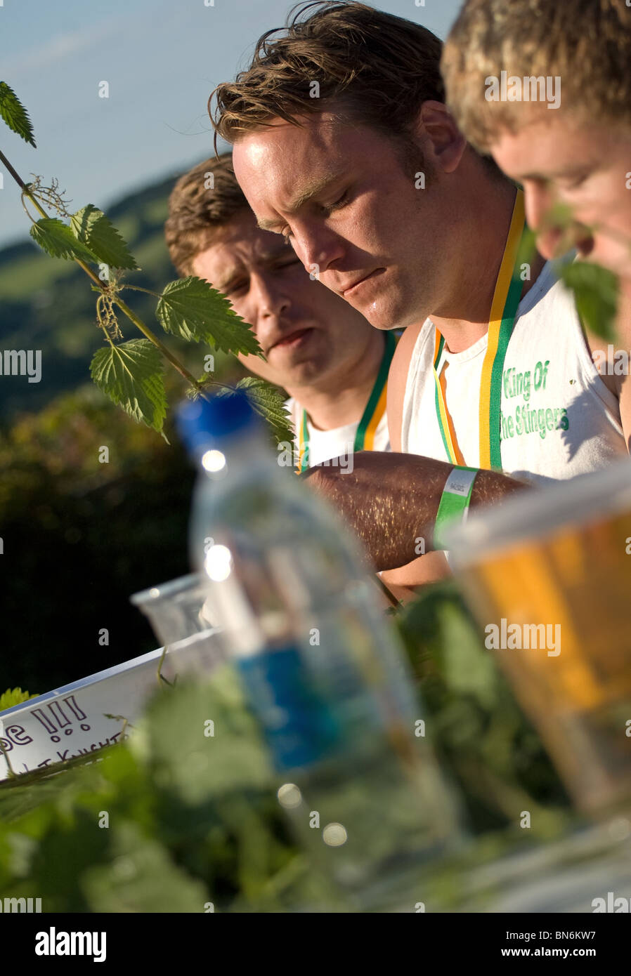 contestants at the world nettle eating championships Stock Photo - Alamy