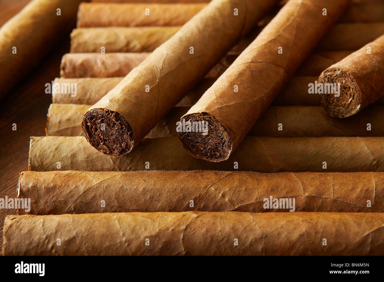 Large Cuban Cohiba cigars Stock Photo - Alamy