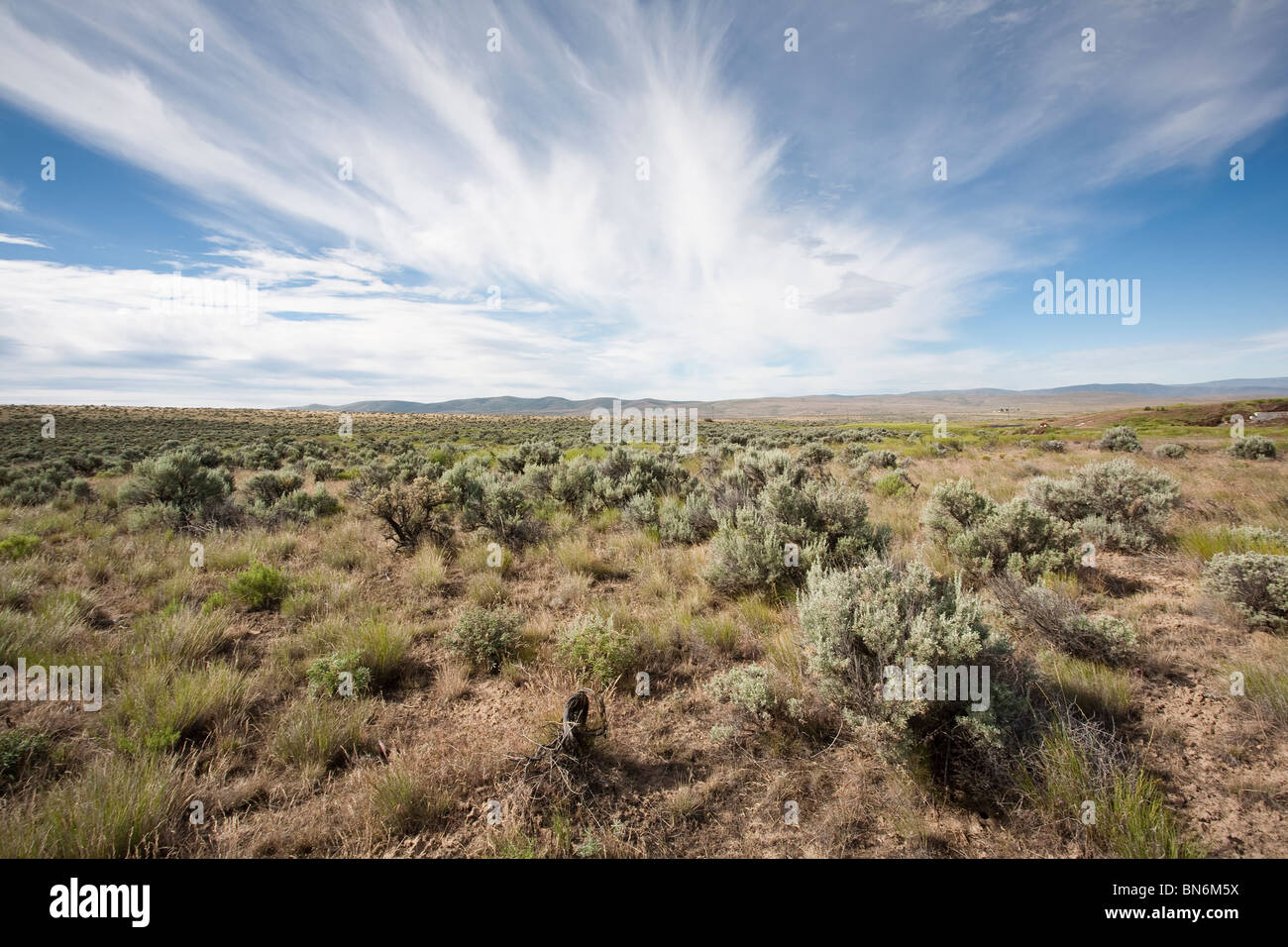 Desert Landscape near Ellensburg - Kittitas County, Washington Stock ...