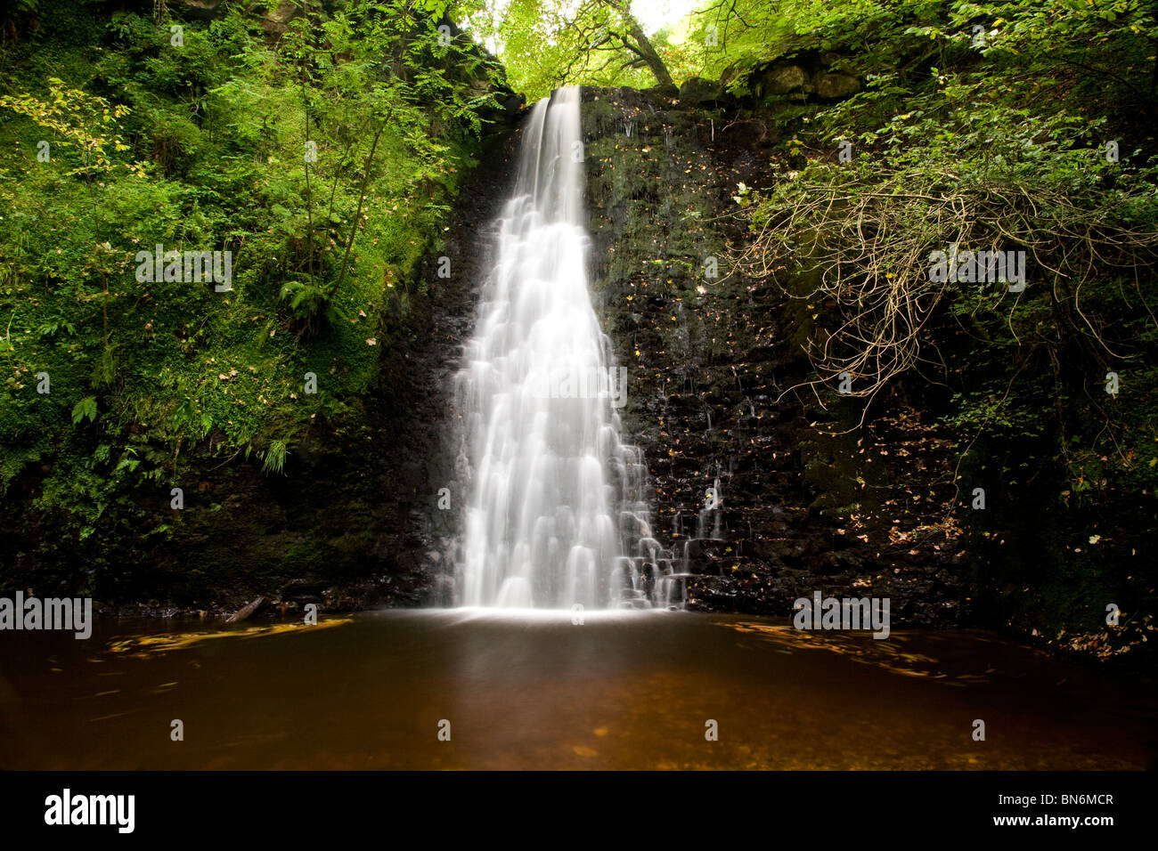 Falling foss waterfall, Whitby North Yorkshire Stock Photo - Alamy