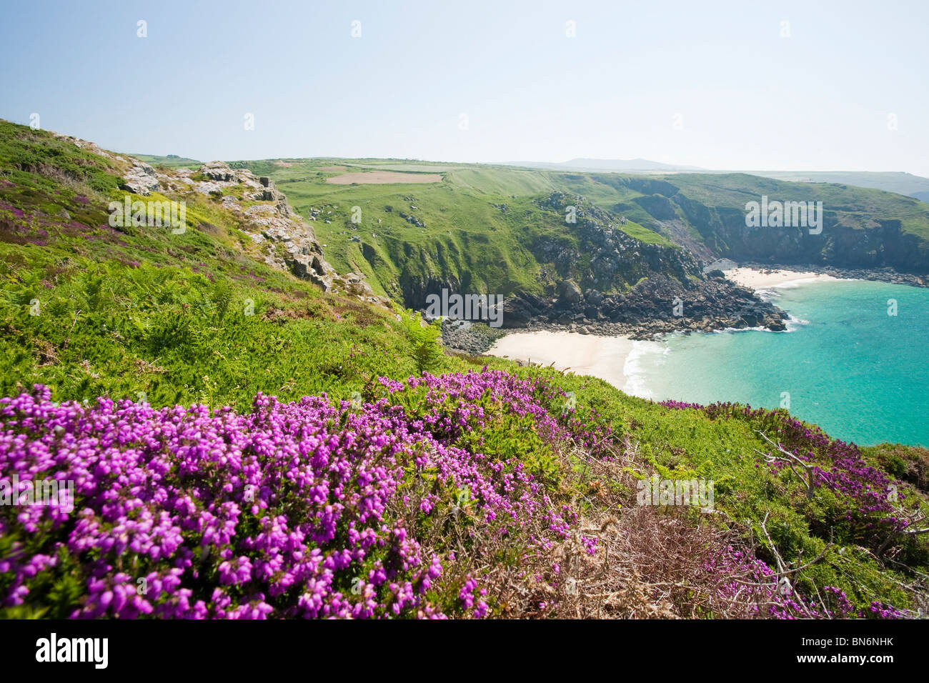 Tidal wave purple hi-res stock photography and images - Alamy