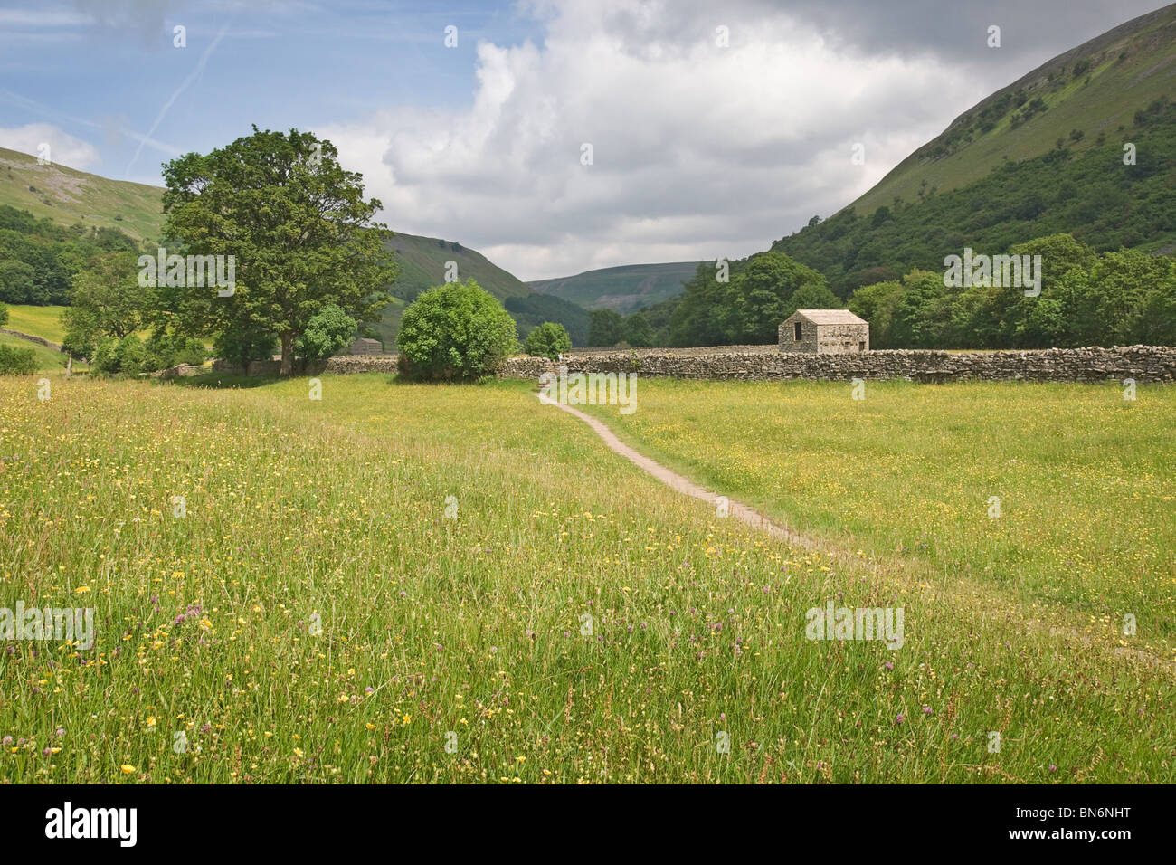 Conservation park yorkshire hi-res stock photography and images - Alamy