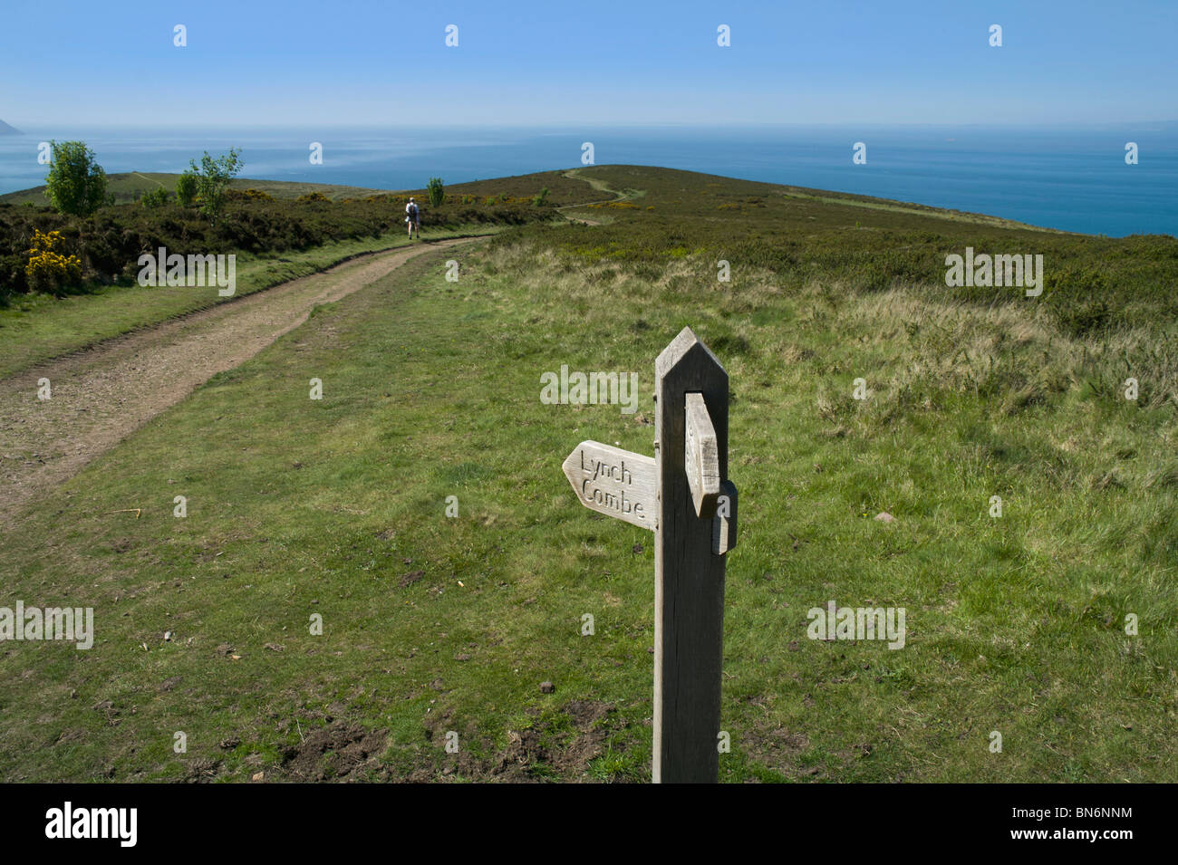 North somerset coastal path hi-res stock photography and images - Alamy
