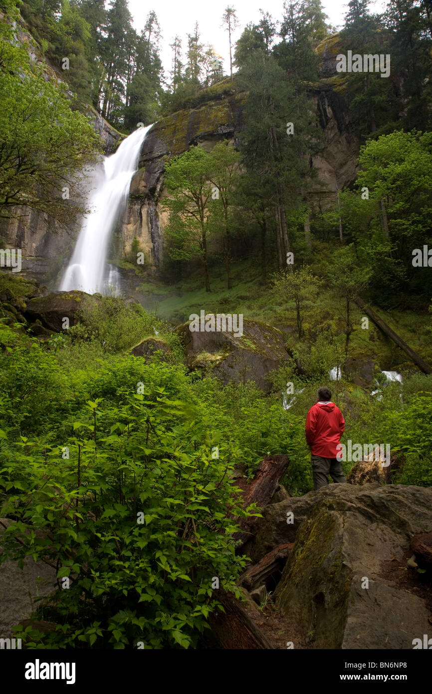 Man Looking at Golden Falls, Golden and Silver Falls State Park, Oregon ...