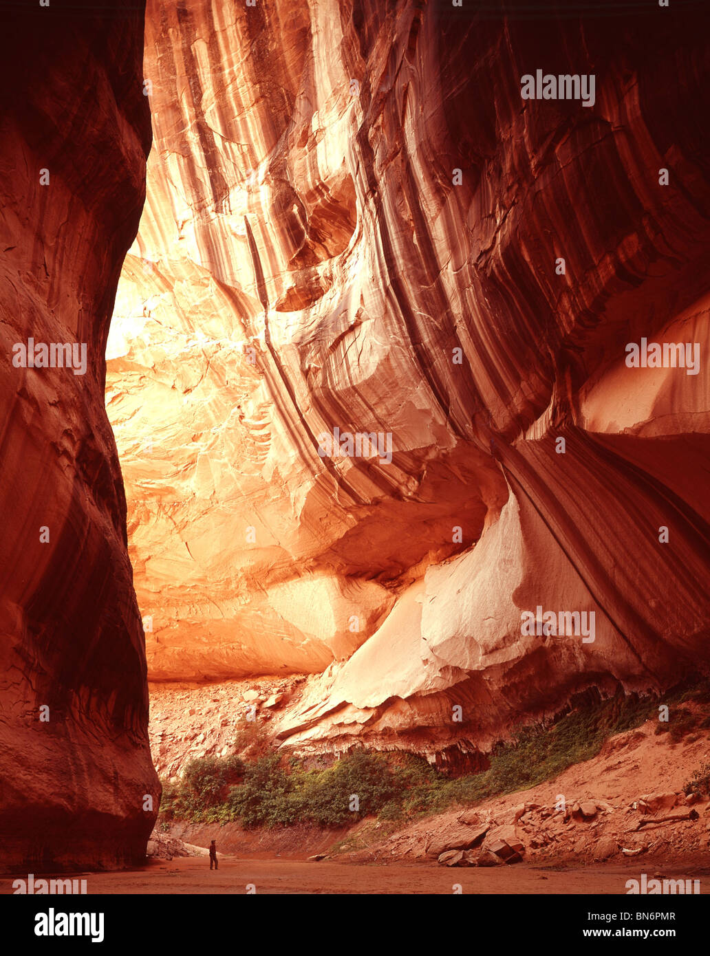 Cathedral in desert lake powell hi-res stock photography and images - Alamy