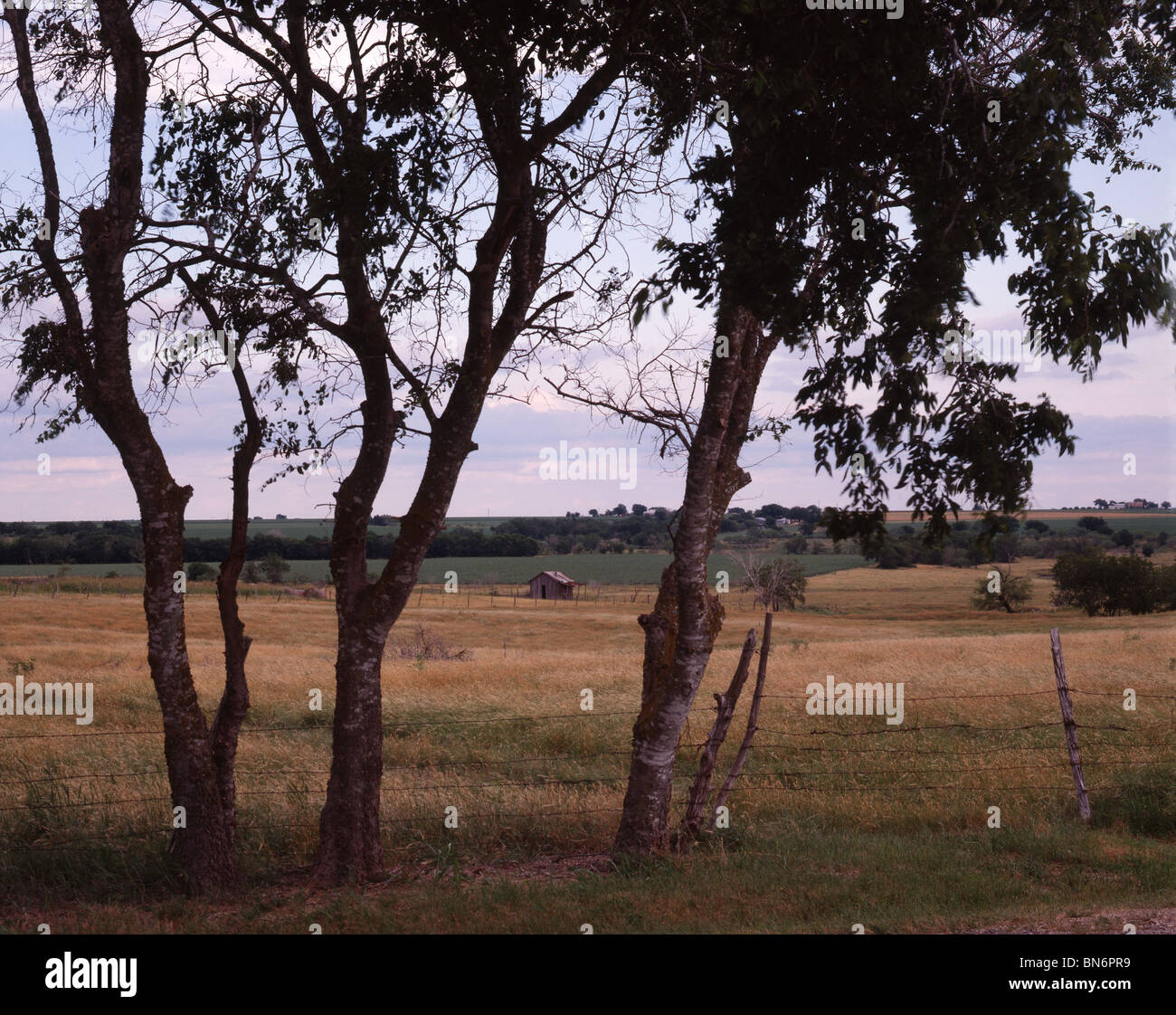 Texas farm landscape hi-res stock photography and images - Alamy