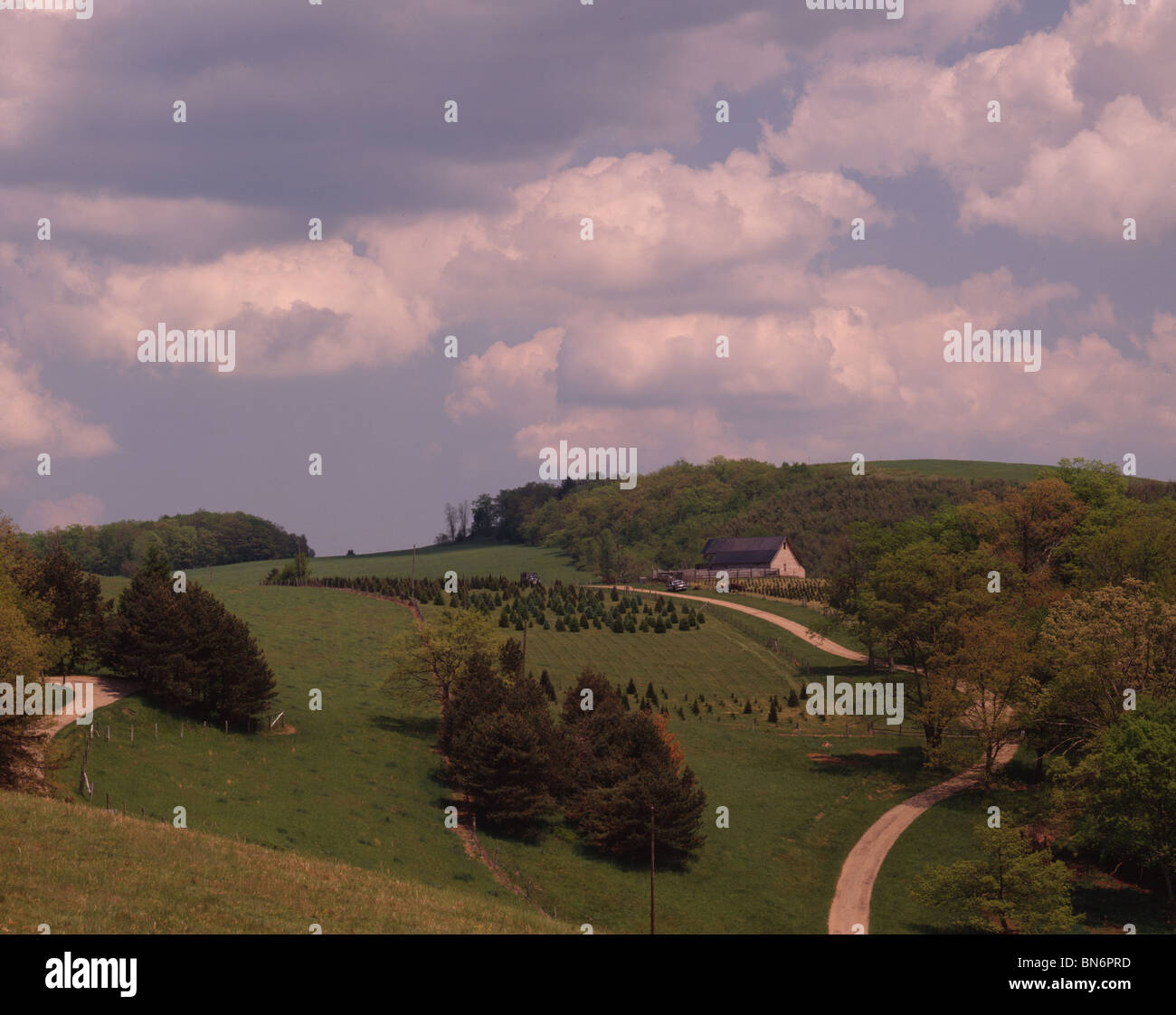 Virginia blue ridge mountains farm hi-res stock photography and images ...