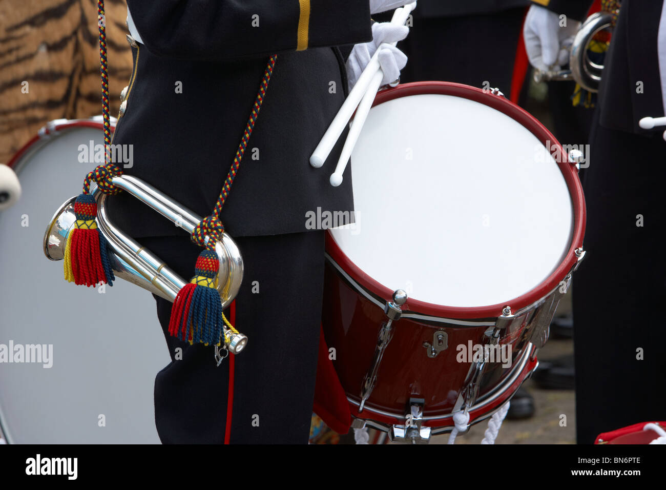 bugler of the the band of HM Royal Marines Scotland at Armed Forces Day ...