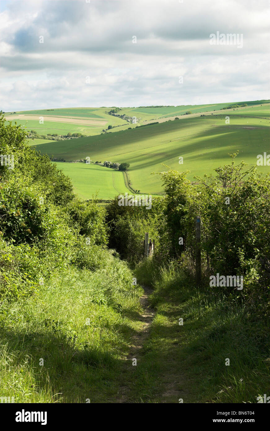 Footpath leading around the ancient iron age hill fort of Cissbury Ring ...