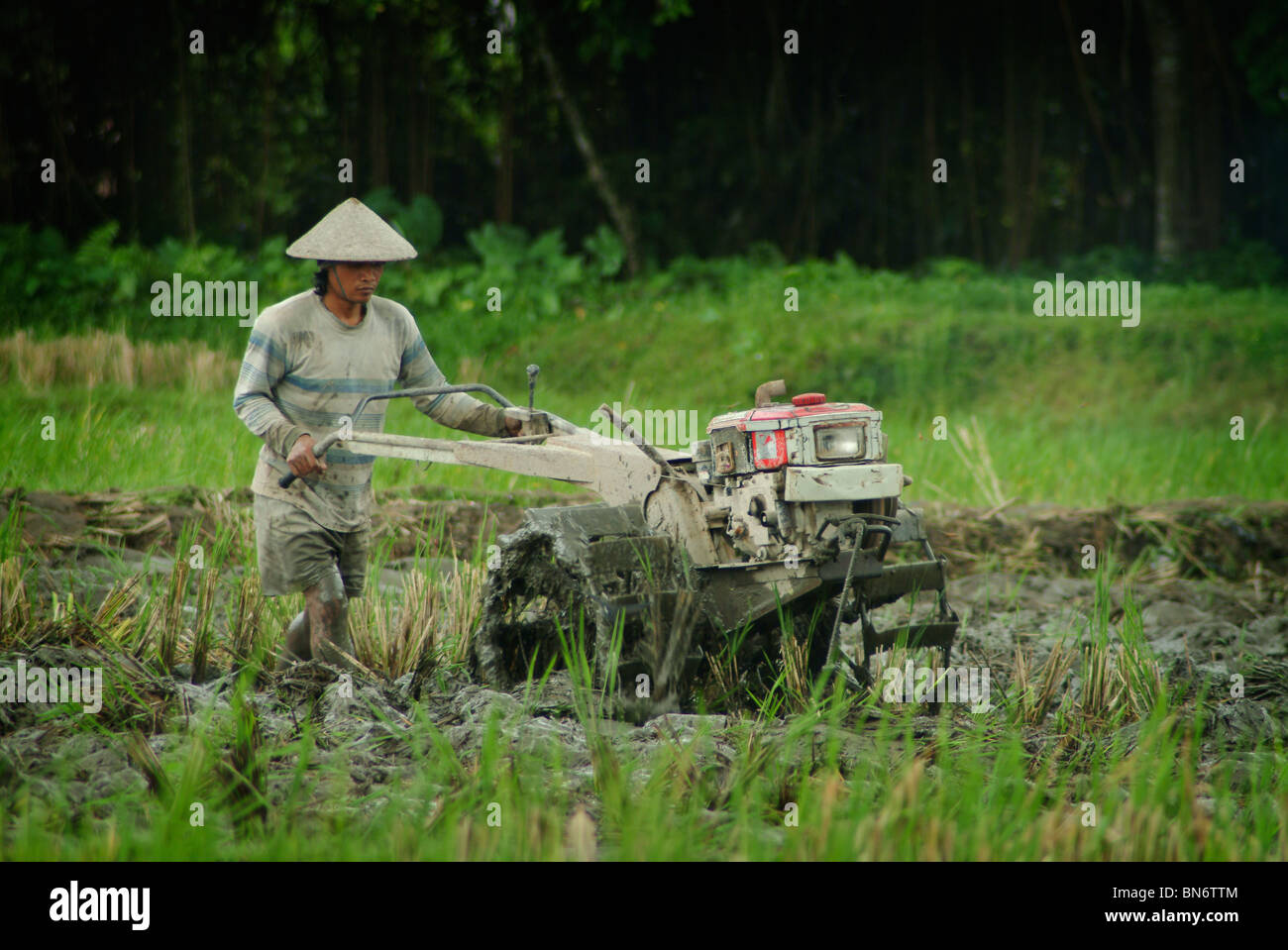 A rice field worker in Bali, Indonesia, uses a mechanical plow to ...