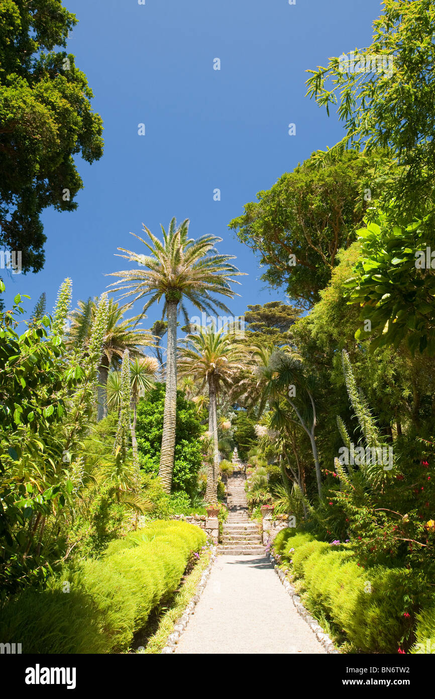 Tropical plants able to grow in the Abbey Gardens,Tresco,Scilly due to ...