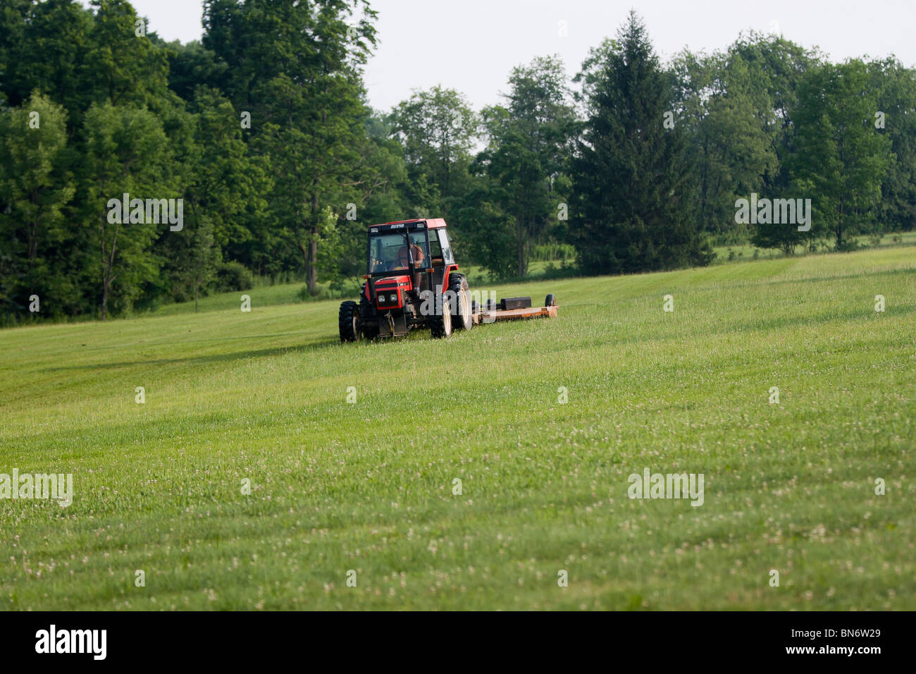 Tractor being used to mow a field Stock Photo - Alamy
