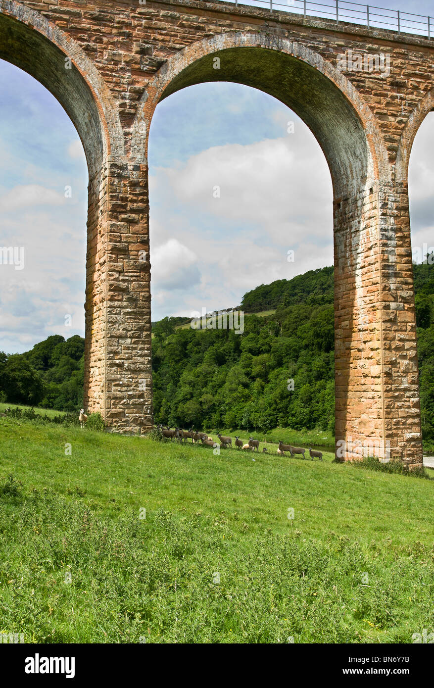 Leaderfoot Viaduct spanning the river Tweed in the Scottish Borders ...