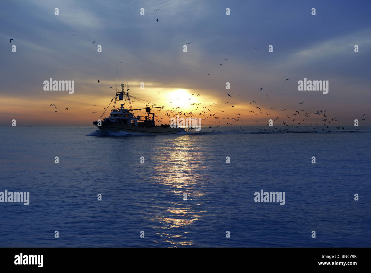 professional fishing boat and seagull turn back port on sunset sunrise ...