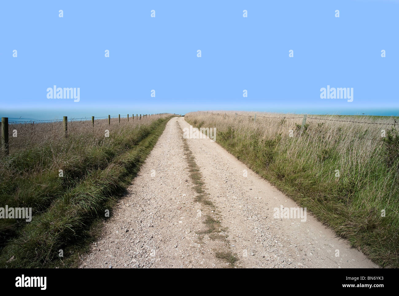 a farm road through countryside and farmland - ringstead bay dorset ...
