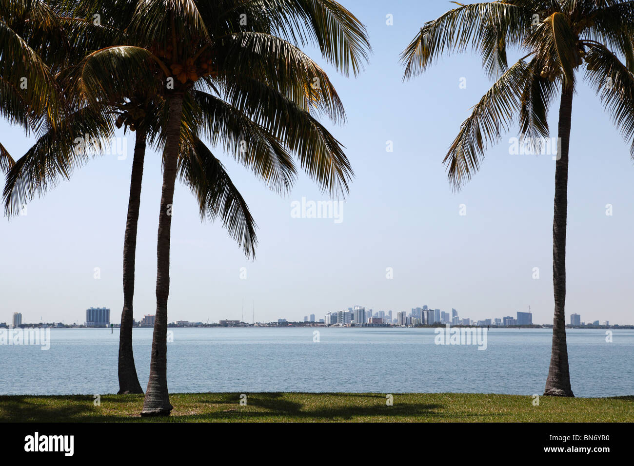 Miami landscape hi-res stock photography and images - Alamy