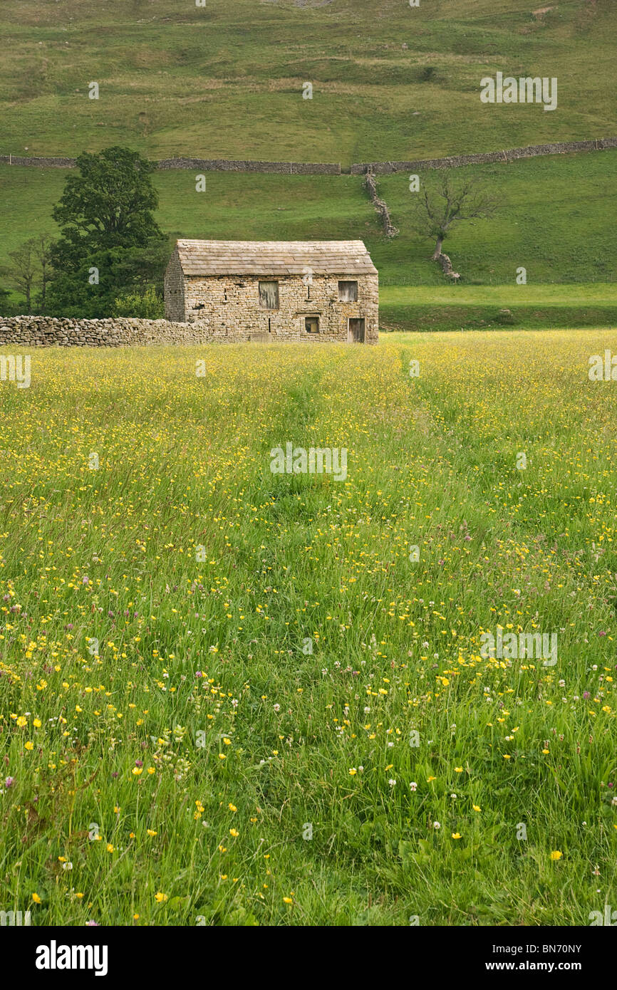 Barn hi-res stock photography and images - Alamy