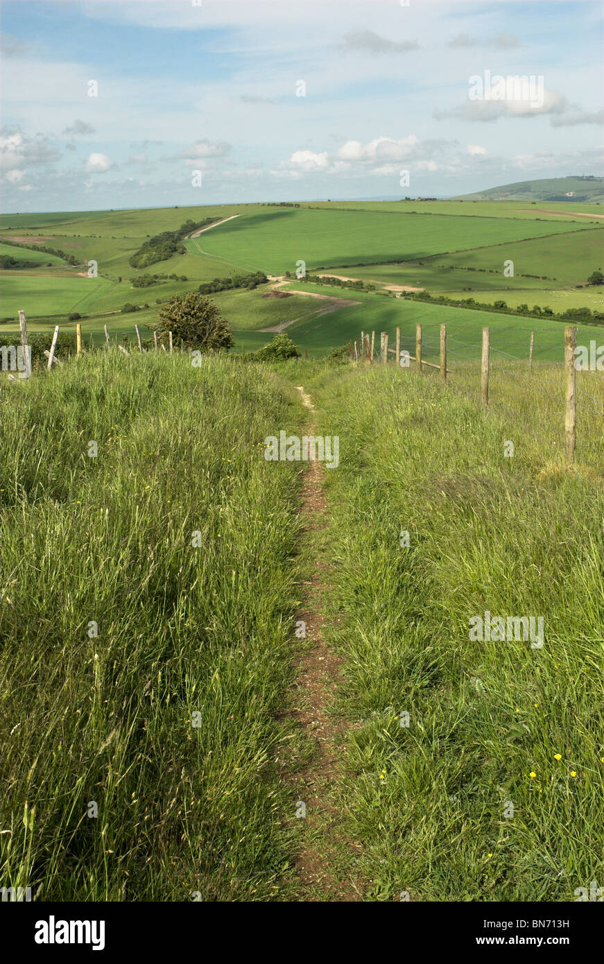 Footpath leading around the ancient iron age hill fort of Cissbury Ring ...