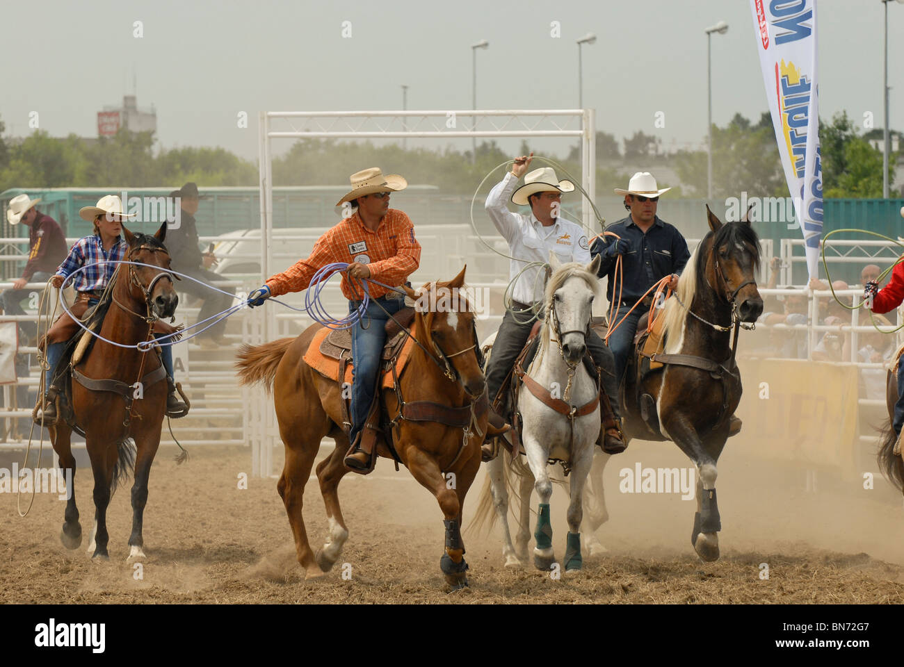 Team roping at a rodeo event Stock Photo - Alamy