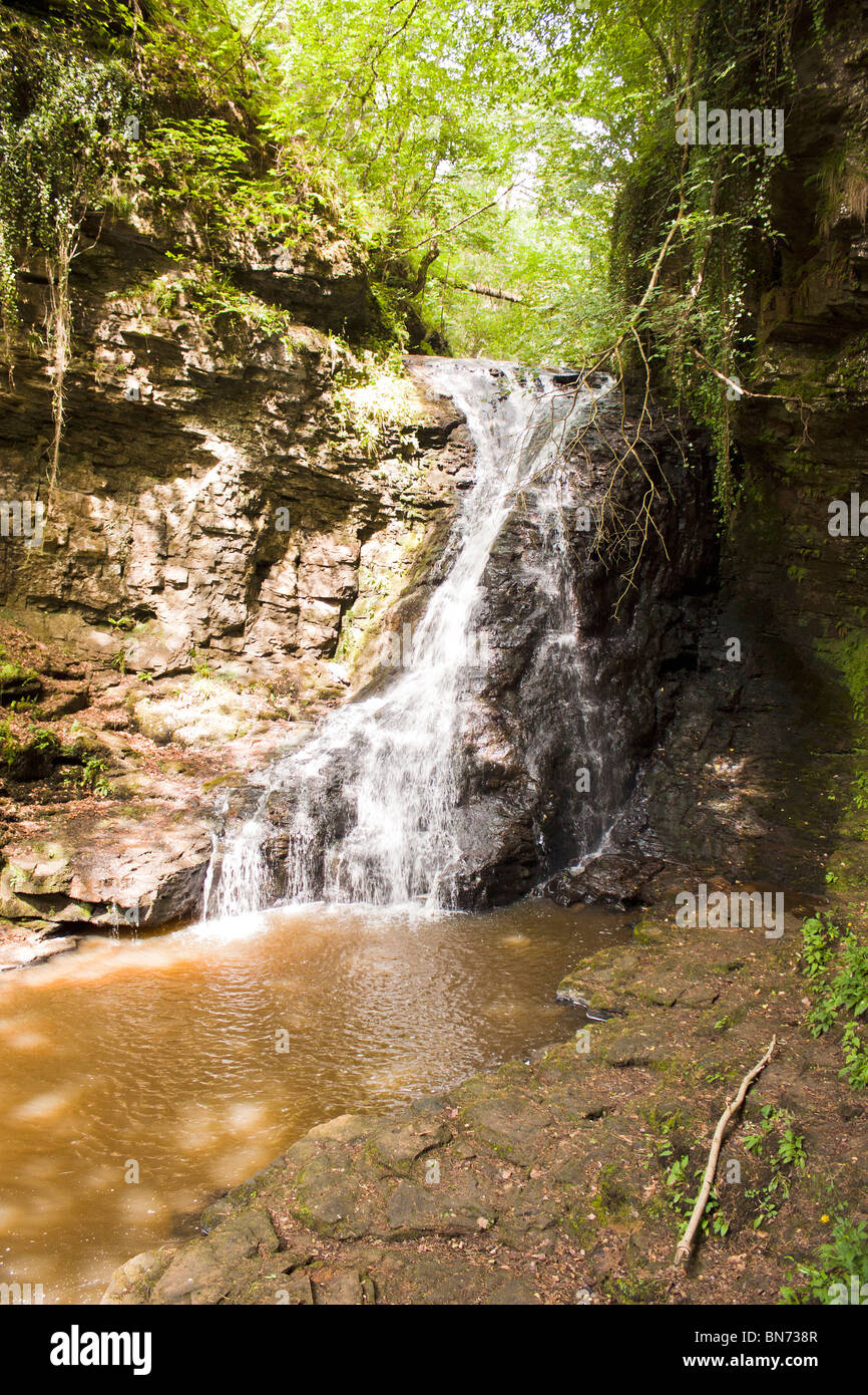 Hareshaw Linn Waterfall in Bellingham Northumberland Stock Photo - Alamy