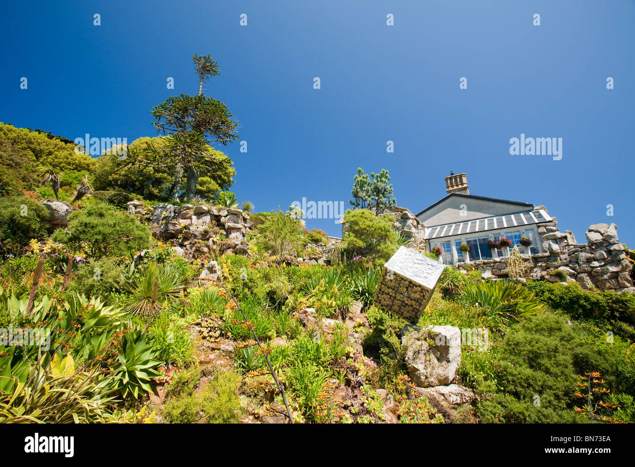 Tropical plants able to grow in the Abbey Gardens,Tresco,Scilly due to ...