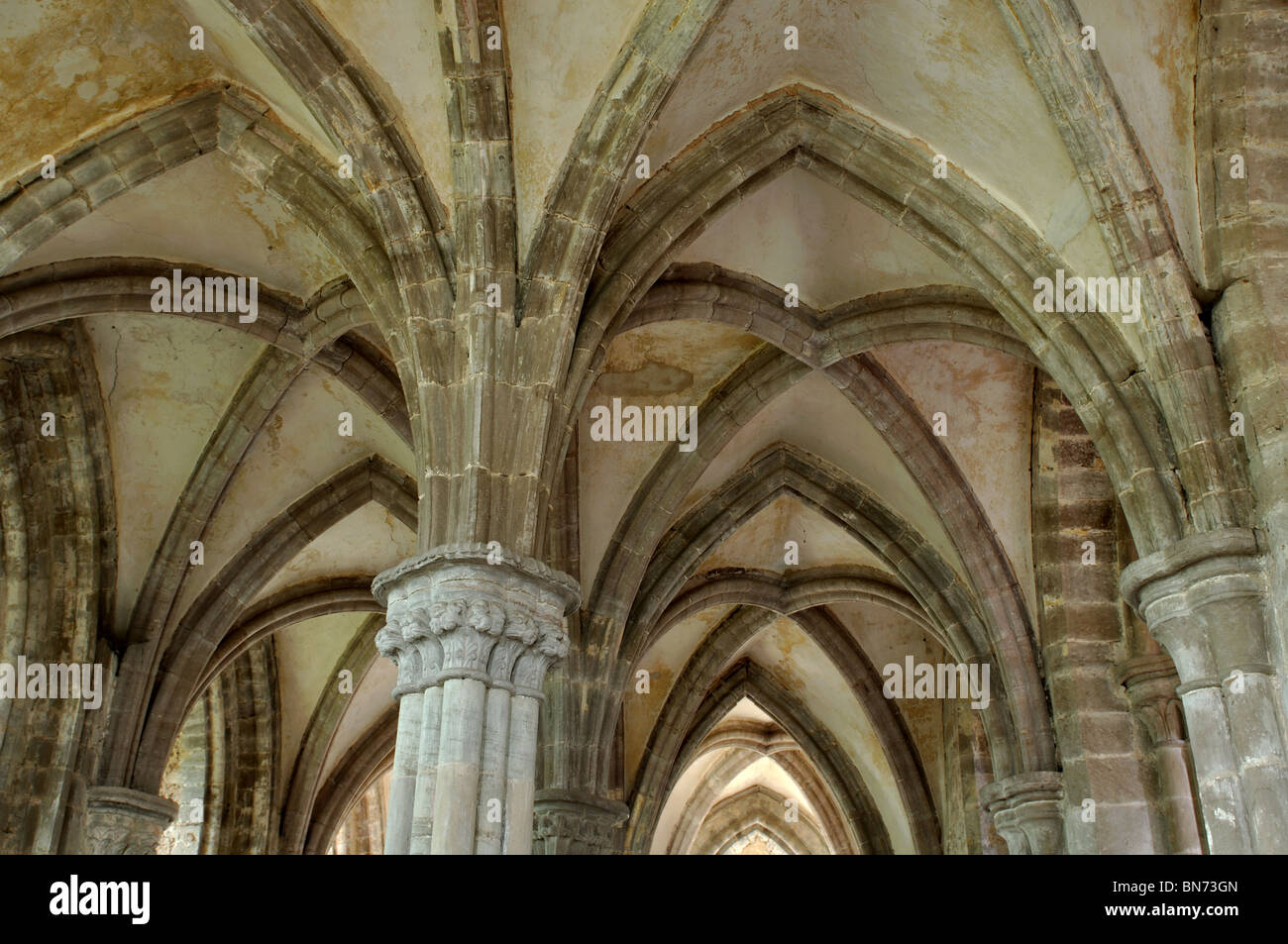 Dore ceiling hi-res stock photography and images - Alamy