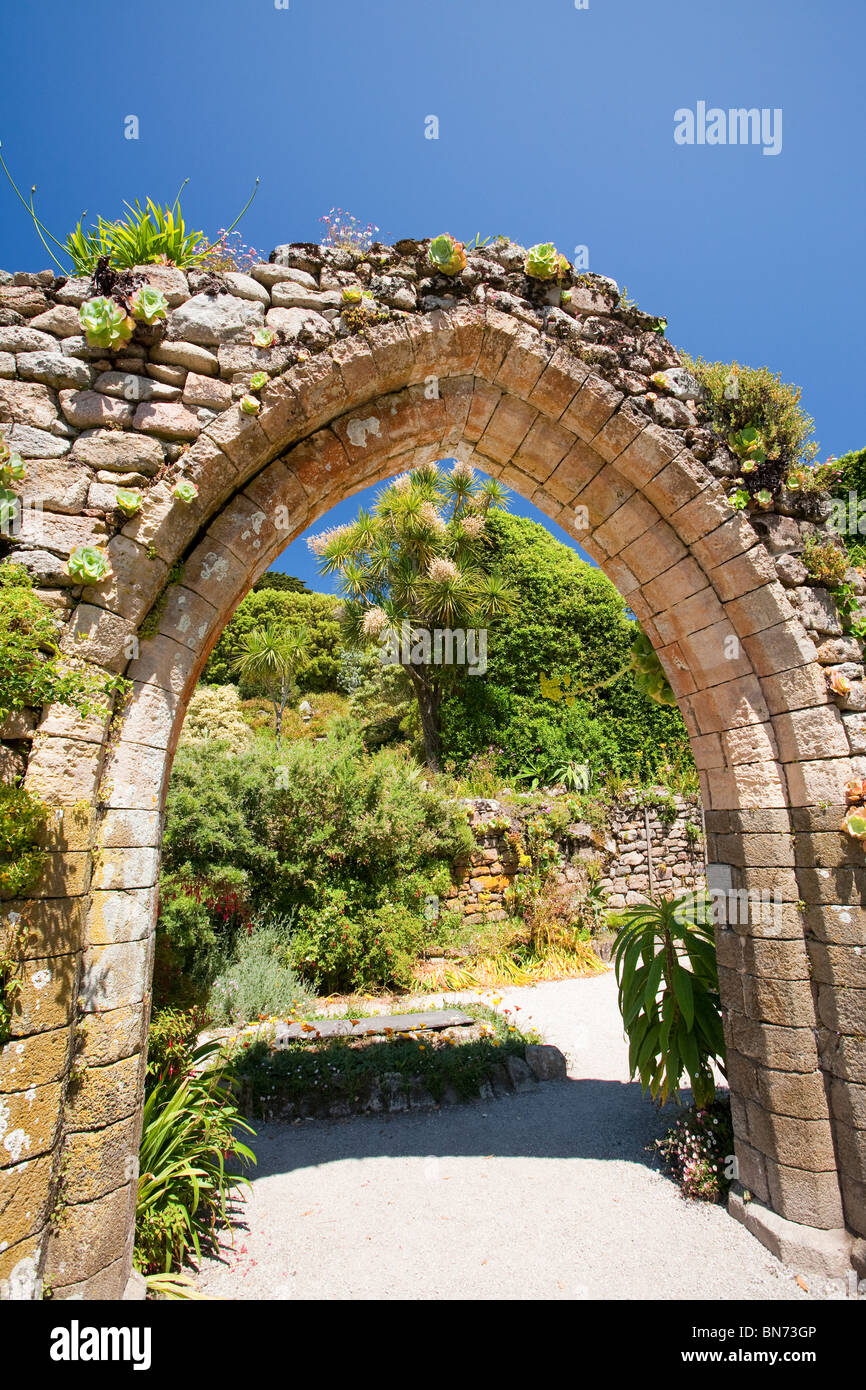 Tropical plants able to grow in the Abbey Gardens,Tresco,Scilly due to ...