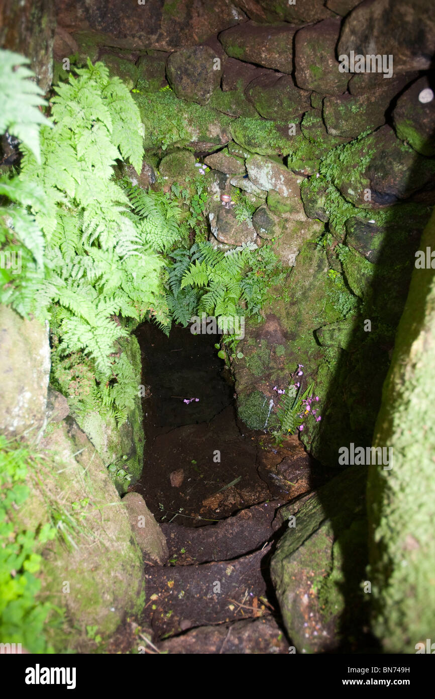Sancreed Well at Sancreed, Cornwall, UK. It is probably pre christian ...