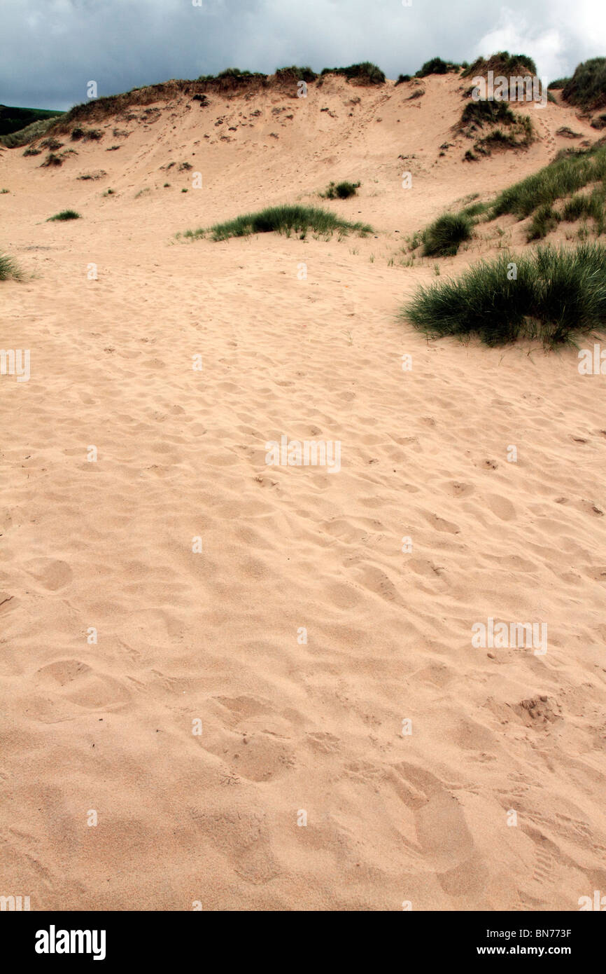 Stabilising sand dunes hi-res stock photography and images - Alamy