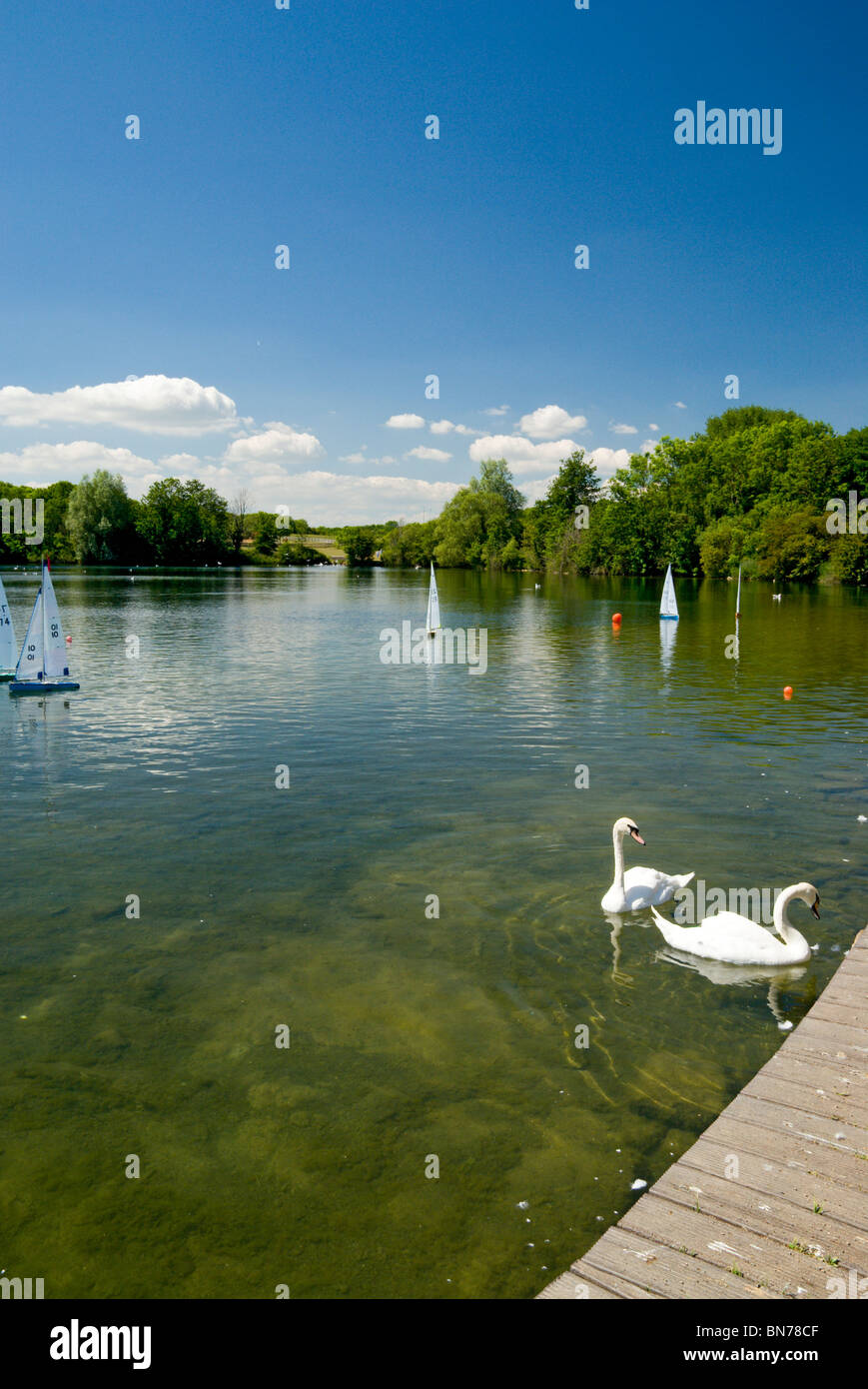 Cosmeston lakes park hi-res stock photography and images - Alamy