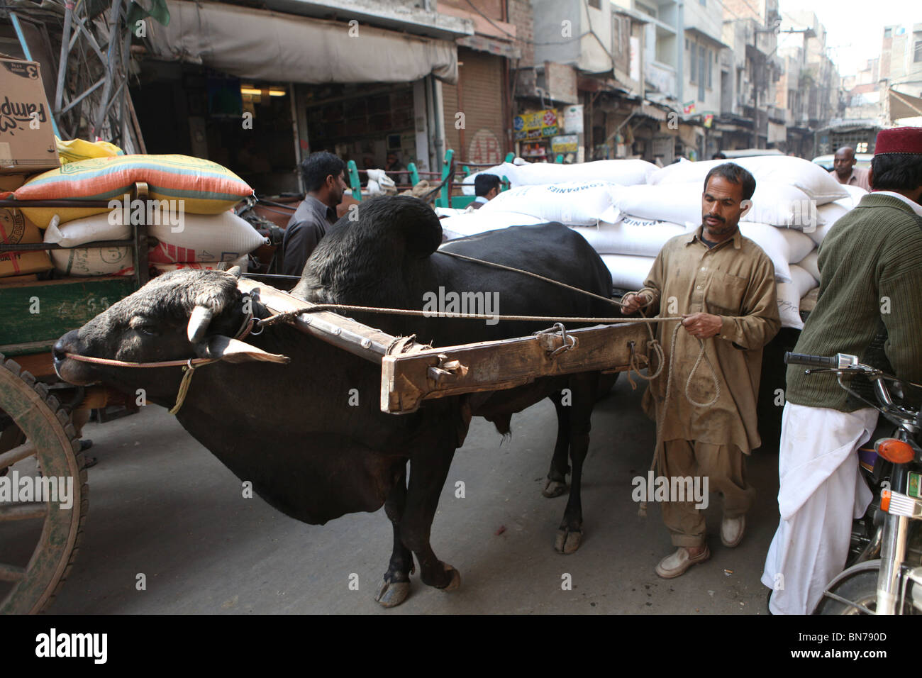 porter in Pakistan Stock Photo - Alamy