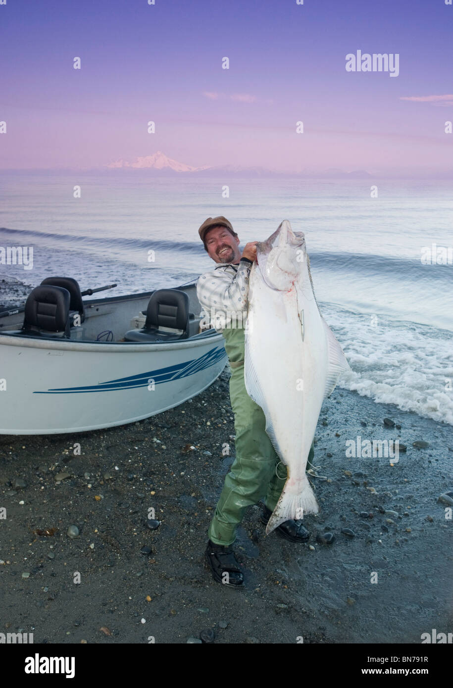 Angler poses with his catch of a large halibut near Ninilchick, Kenai ...