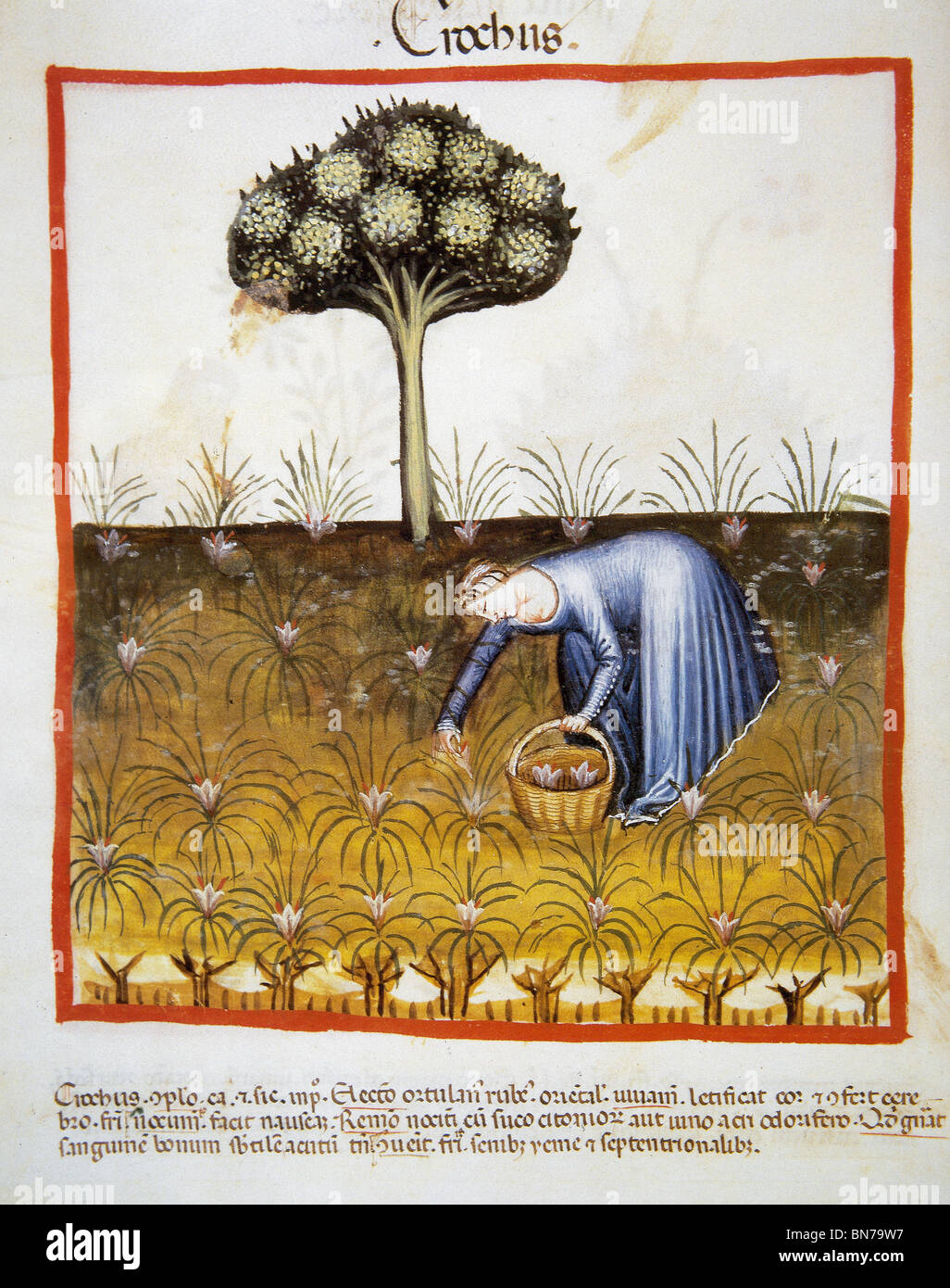 Middle ages peasants hi-res stock photography and images - Alamy