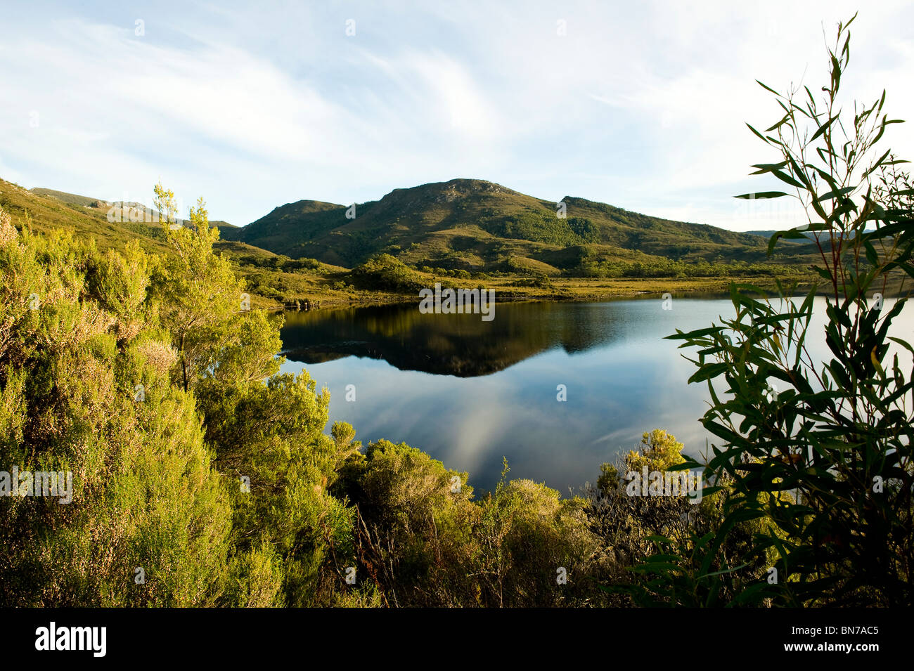 Panorama of new Lake Pedder tasmania Stock Photo - Alamy