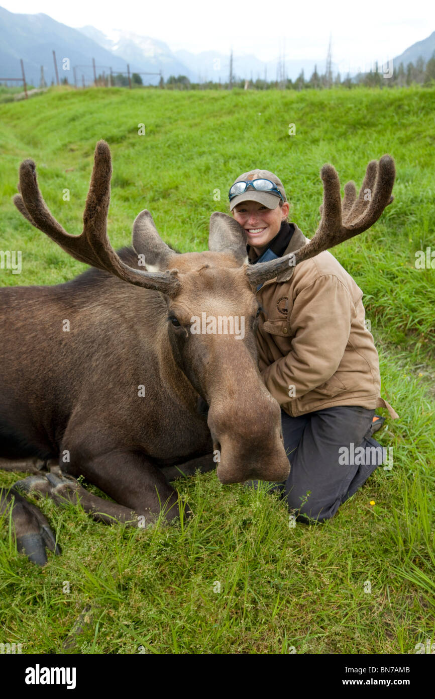 An intern at the Alaska Wildlife Conservation Center poses with a bull ...