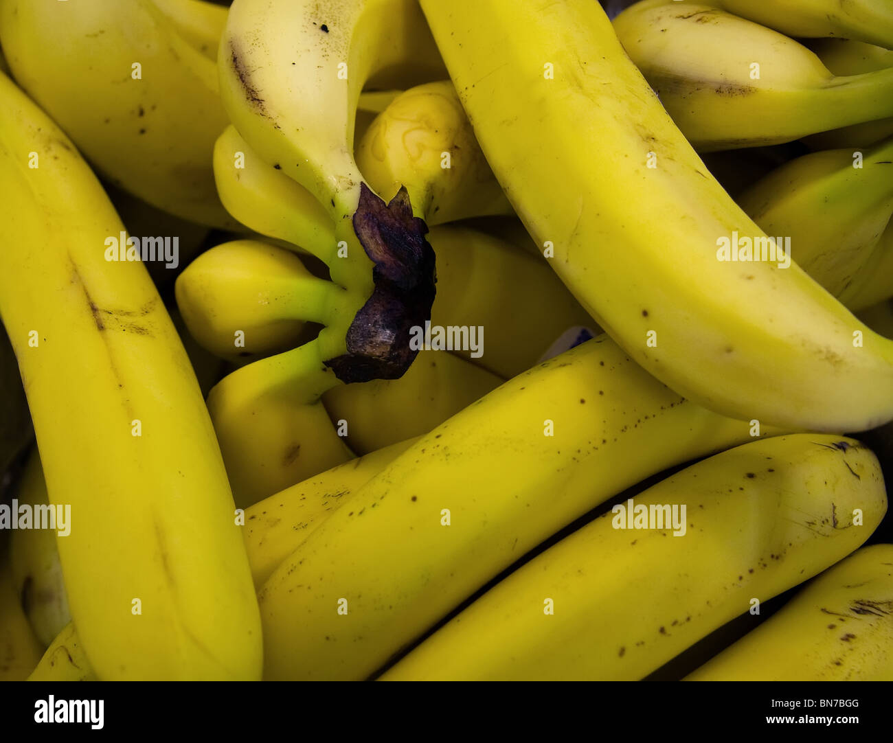 Bunch of yellow bananas Stock Photo - Alamy
