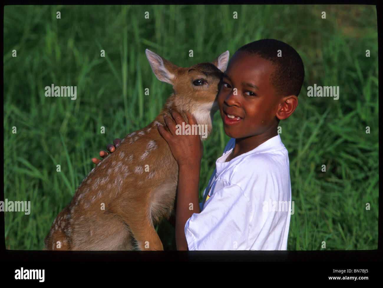 Boy Pets Sitka Black Tail Fawn Big Game Alaska SC AK summer portrait ...