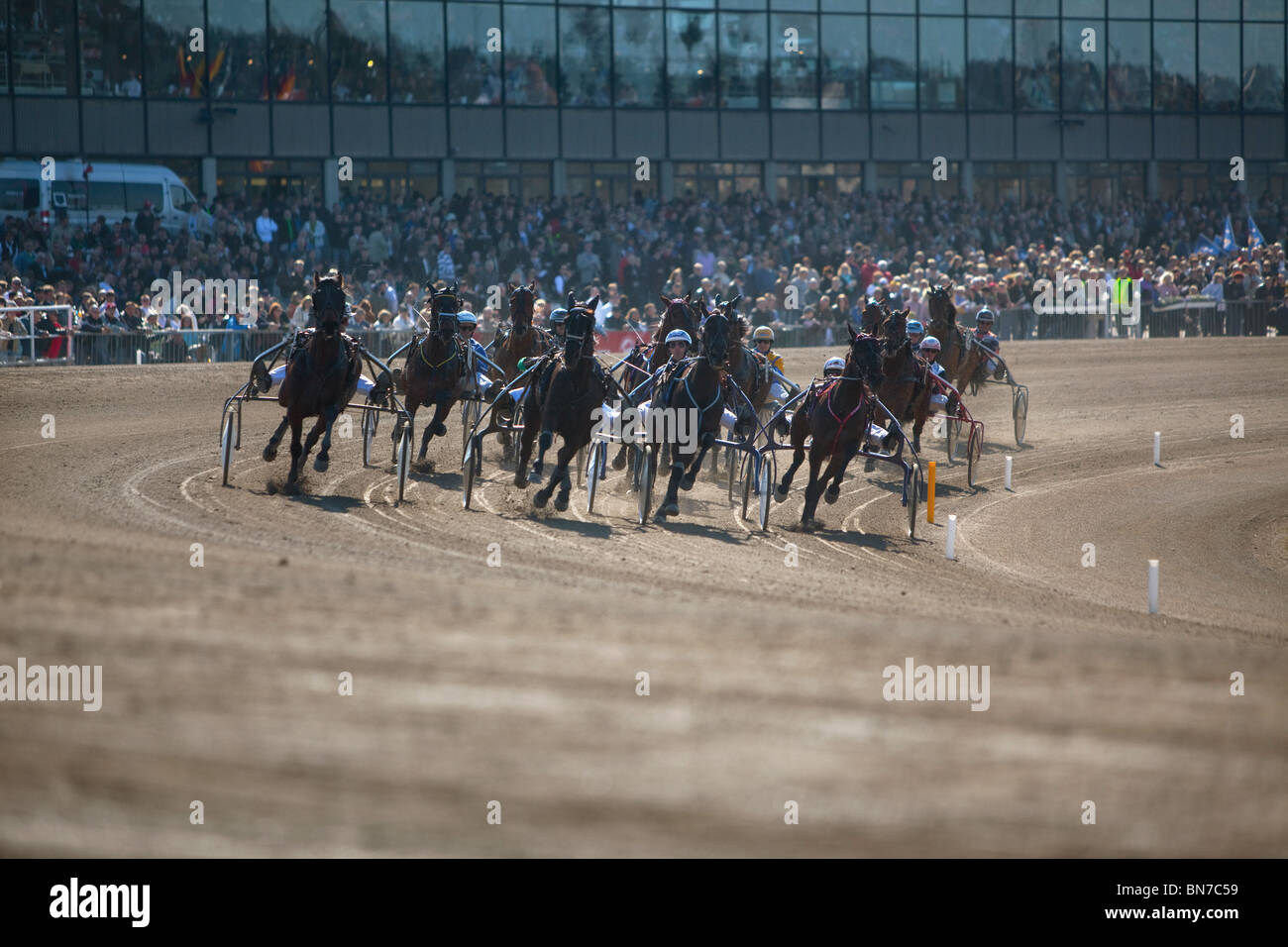 Harness racing, Vermo, Finland Stock Photo - Alamy
