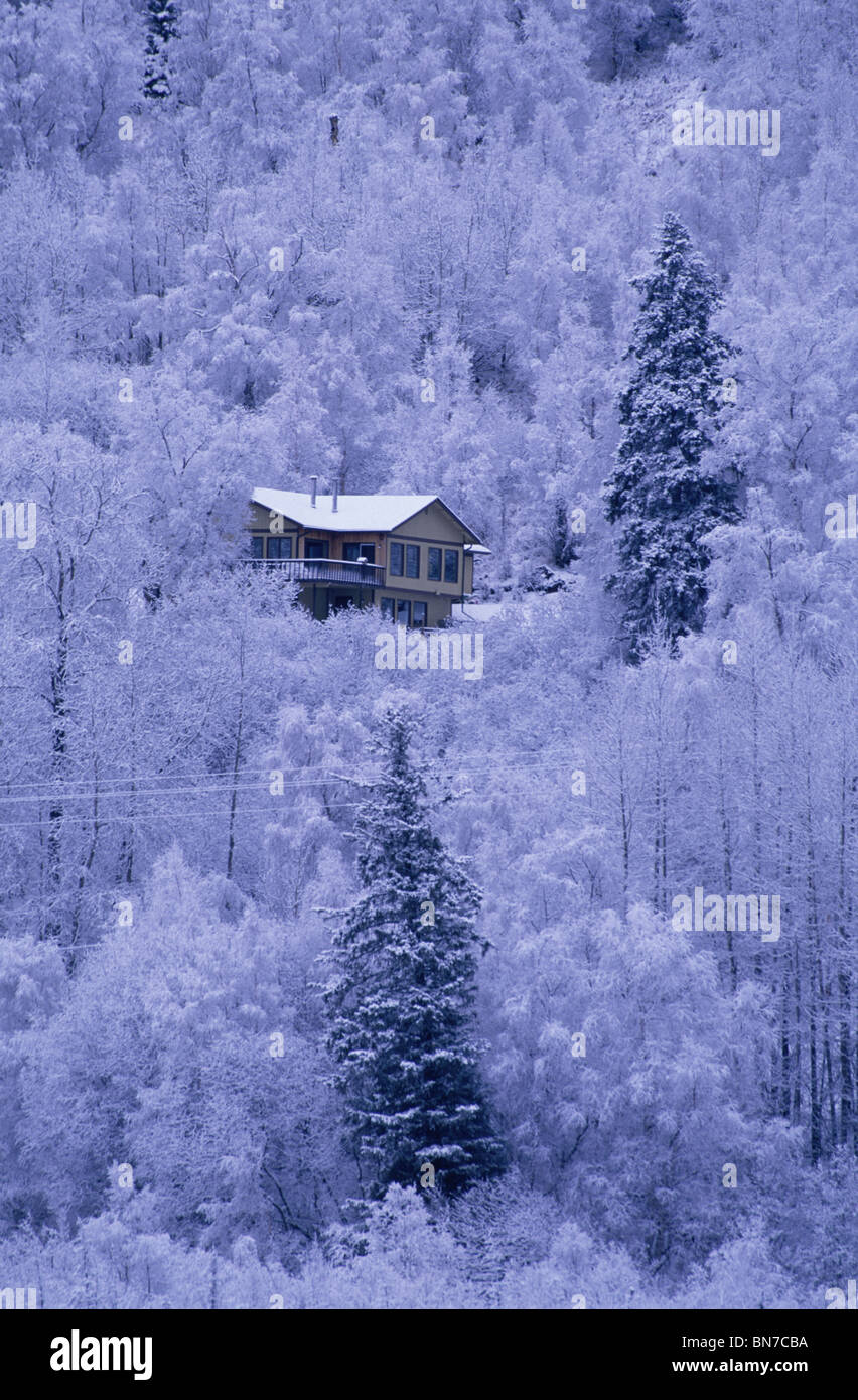 Home on Hillside Frosted Trees Anchorage Winter Stock Photo - Alamy